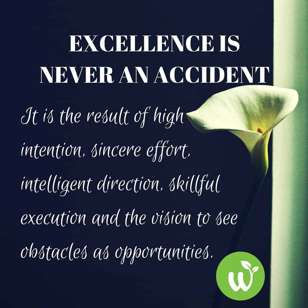 Sincere Efforts Quotes