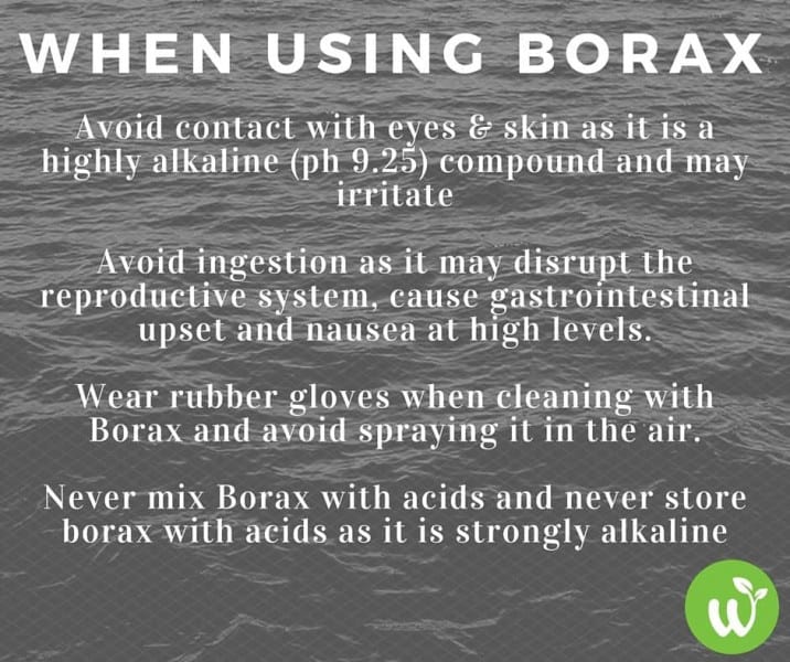 Borax. Safe or Not? - Whole Body Living and Tara's Keto Kitchen