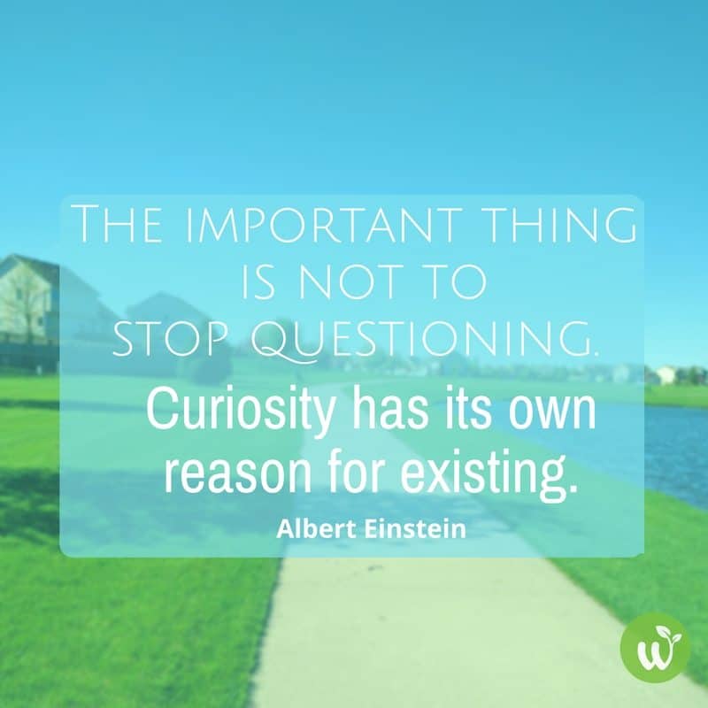 Never Stop Questioning - Whole Body Living and Tara's Keto Kitchen