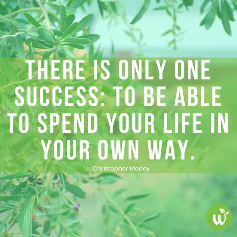 Success? Spending Your Life By Your Rules - Whole Body Living and Tara ...